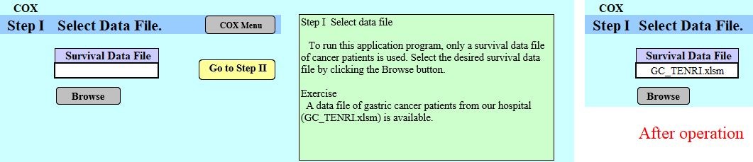 Estimation of Cox Regression Parameters (12 Variables) COX | StatFinale ...